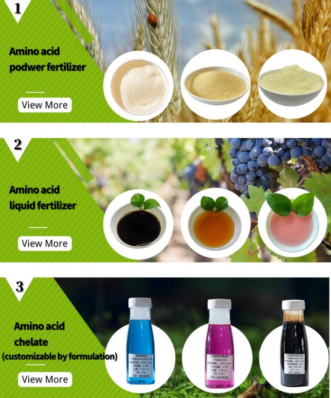Hydrolyzed Animal Protein Amino Acids Chelated Fertilizers Agricultural ...