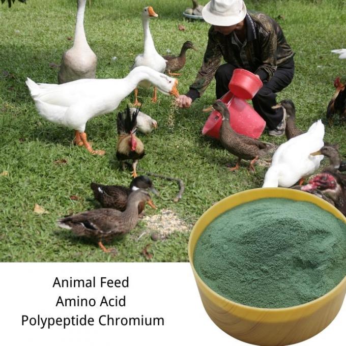 Amino Acid Trace Elements Protein Chromium 8% Animal Feed Additive