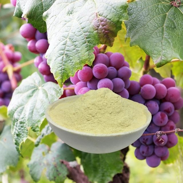 Organic Foliar Spray Fertilizer Enzyme Amino Acid 80% Organic Powder