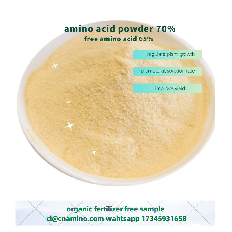 High Free Amino Acid 65% Agriculture Fertilizer Powder Form For Plants