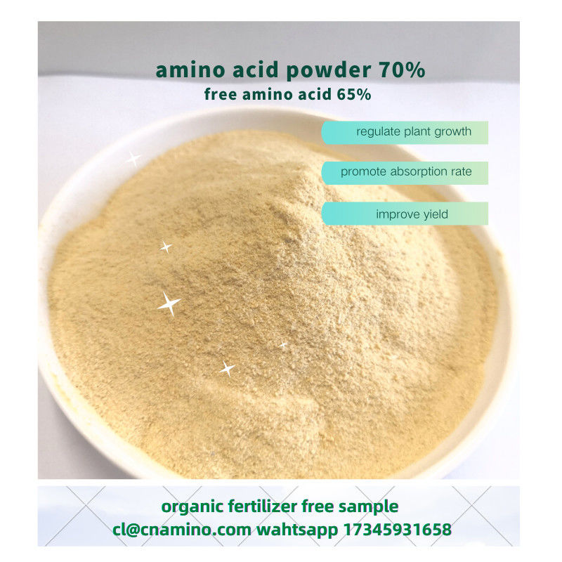 High Free Amino Acid 65% Agriculture Fertilizer Powder Form For Plants