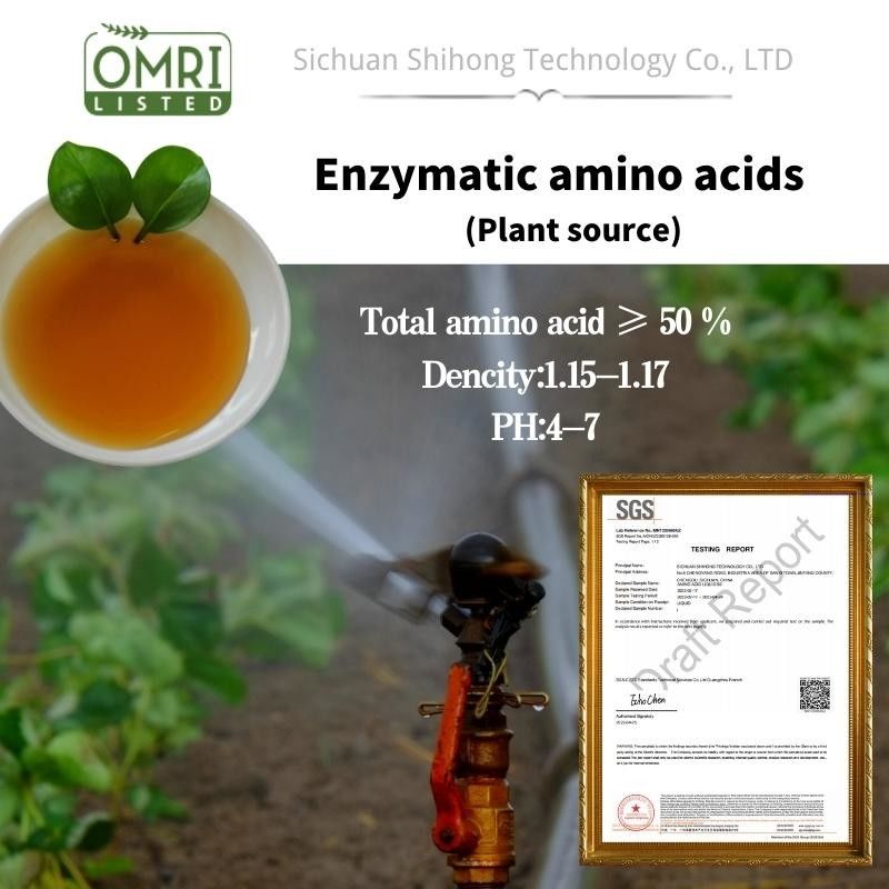 Plant Based Amino Acids Enzymatic Hydrolysis Of Amino Acid Organic ...